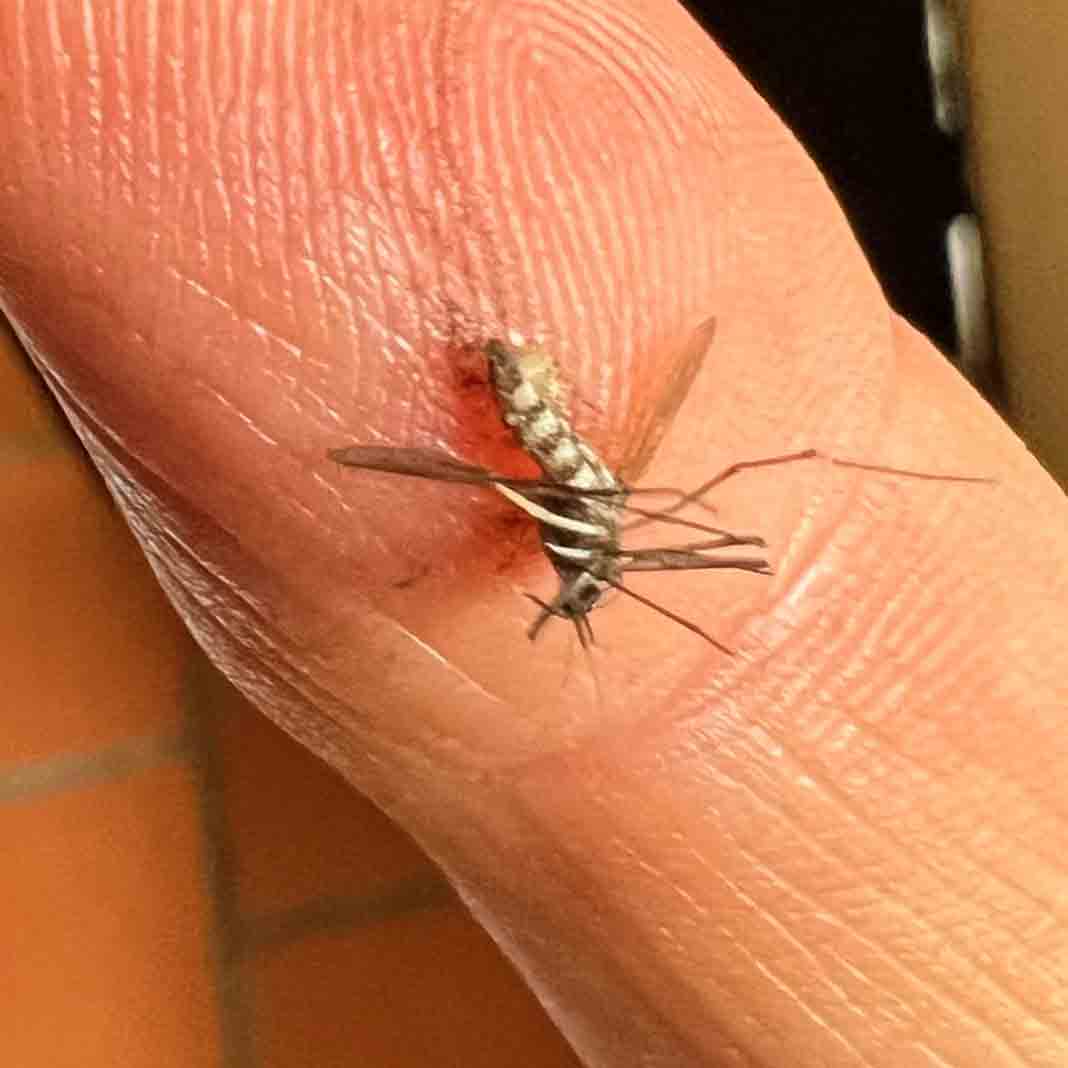 Heat It Electric Insect Bite Treatment - Travel Cool